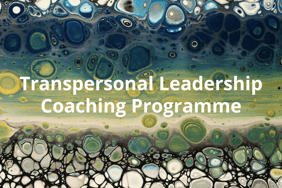 Transpersonal Leadership Coaching Programme - Hetty Einzig